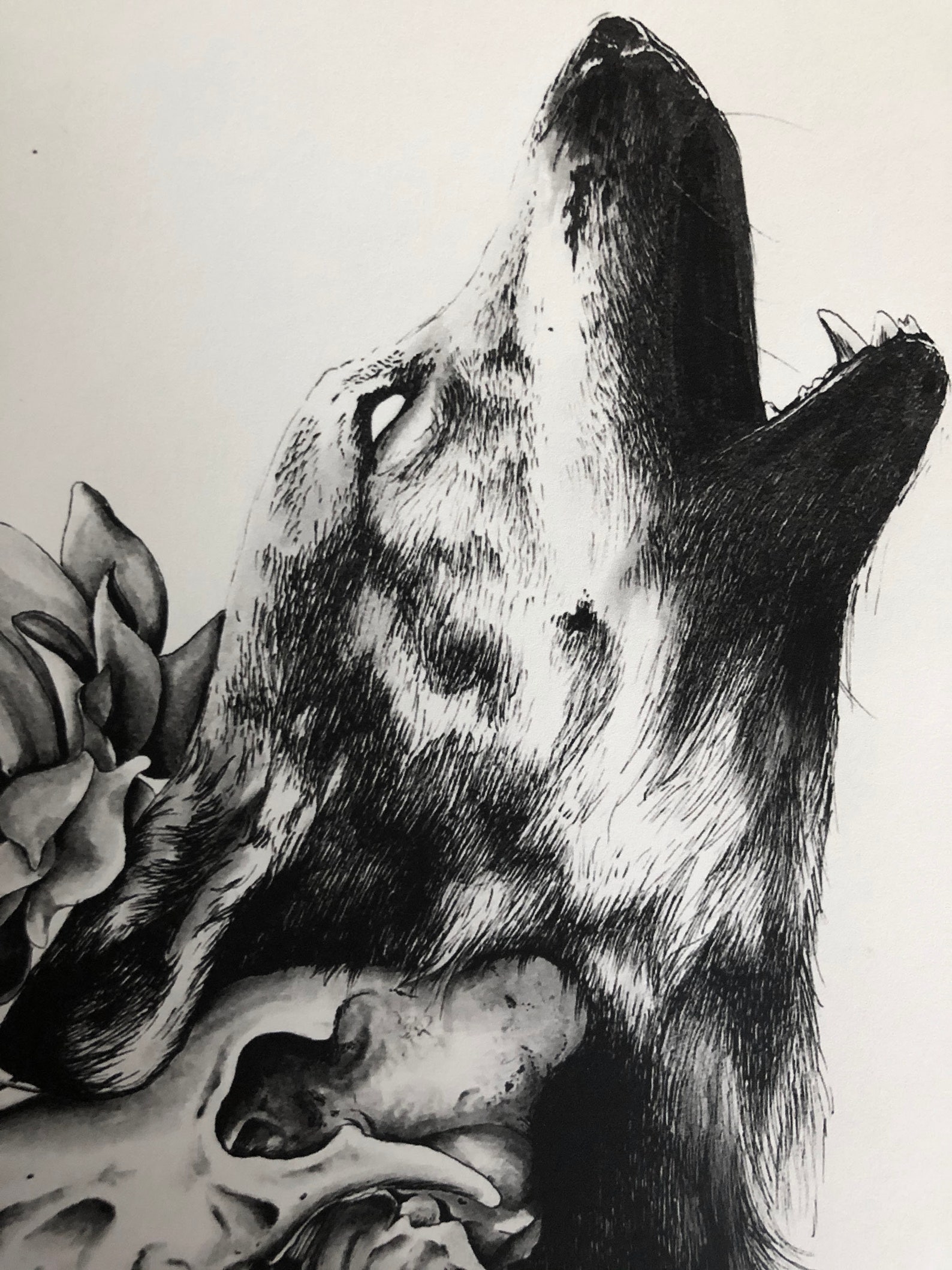 10x13 / Howling Wolf / Print | Etsy