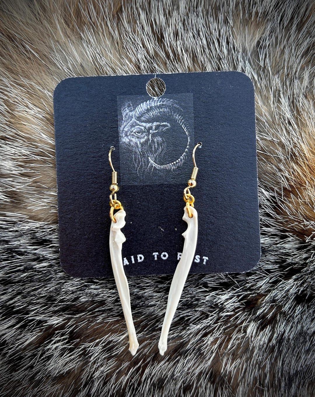 Squirrel Ulna Bone Earrings - Etsy