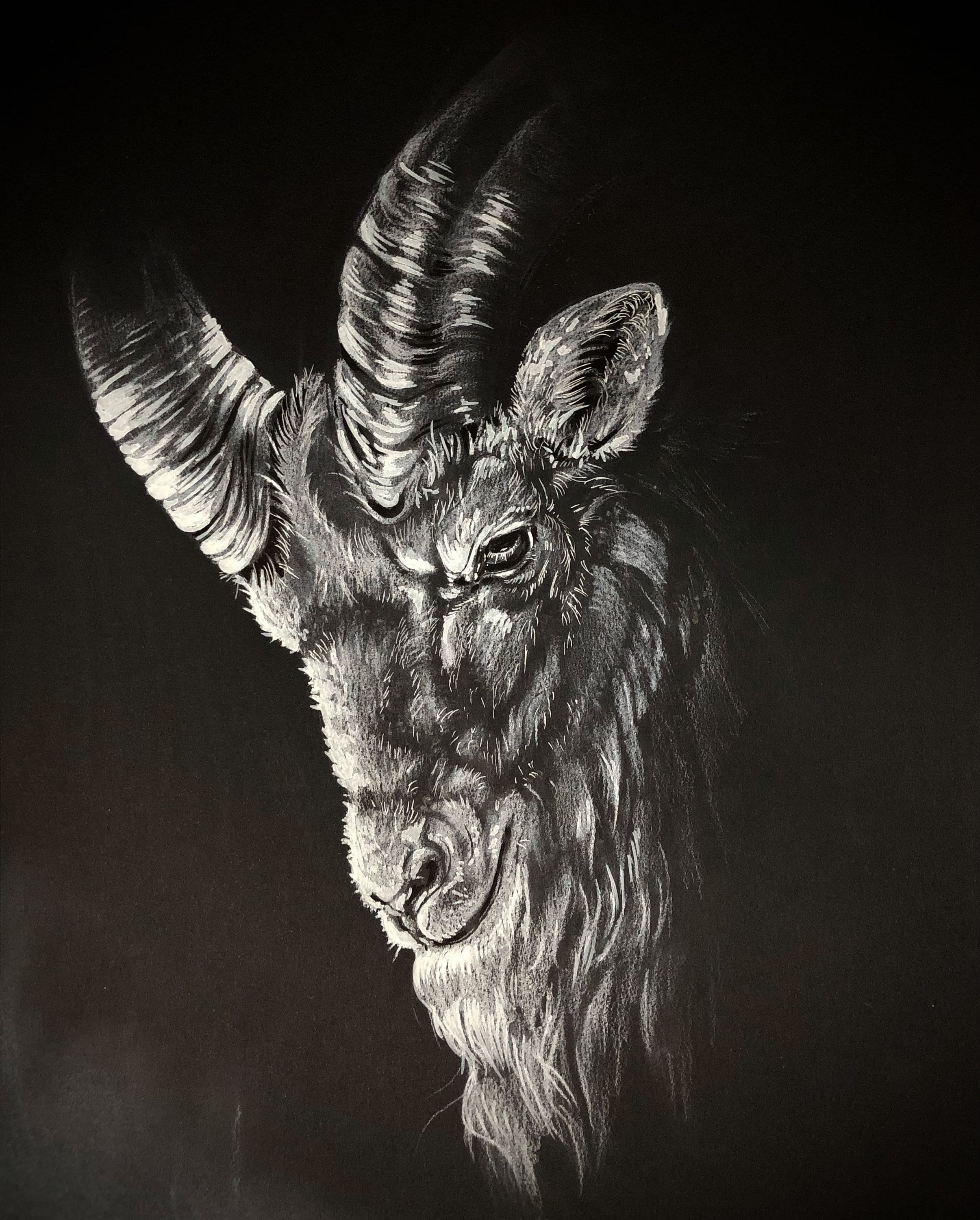 Evil Goat Skull Drawing