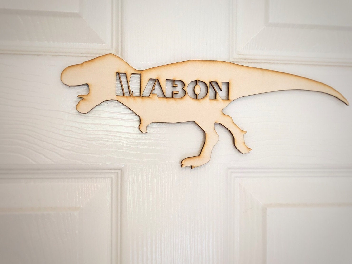 Children's Tyrannosaurus Rex Door Plaque, Personalised Door Sign for a ...
