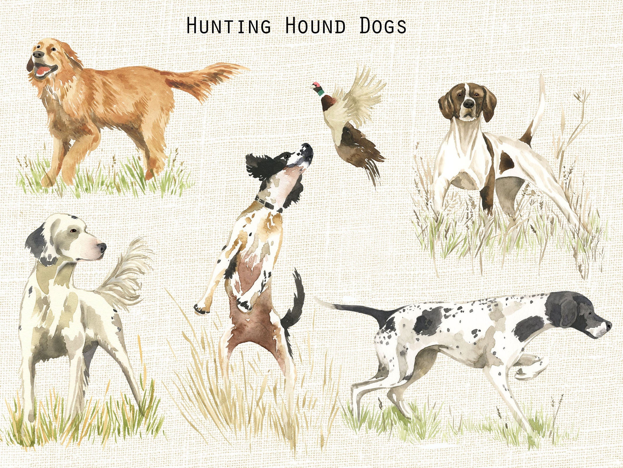 Dogs- Hunting and Gun Dog Clip Art. 6 PNG Files. Watercolor Paintings ...