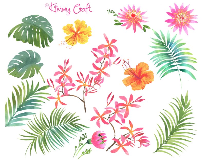 Tropical Birds Hand Painted Clip Art of Tropical Birds, Leaves and ...