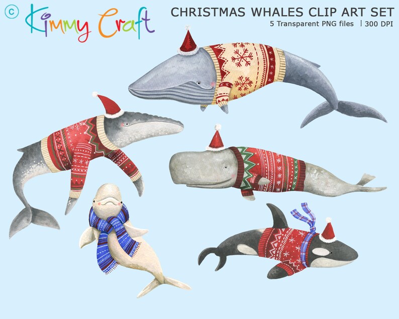Clipart of Handpainted Christmas Whales Total of 5 PNG Files - Etsy