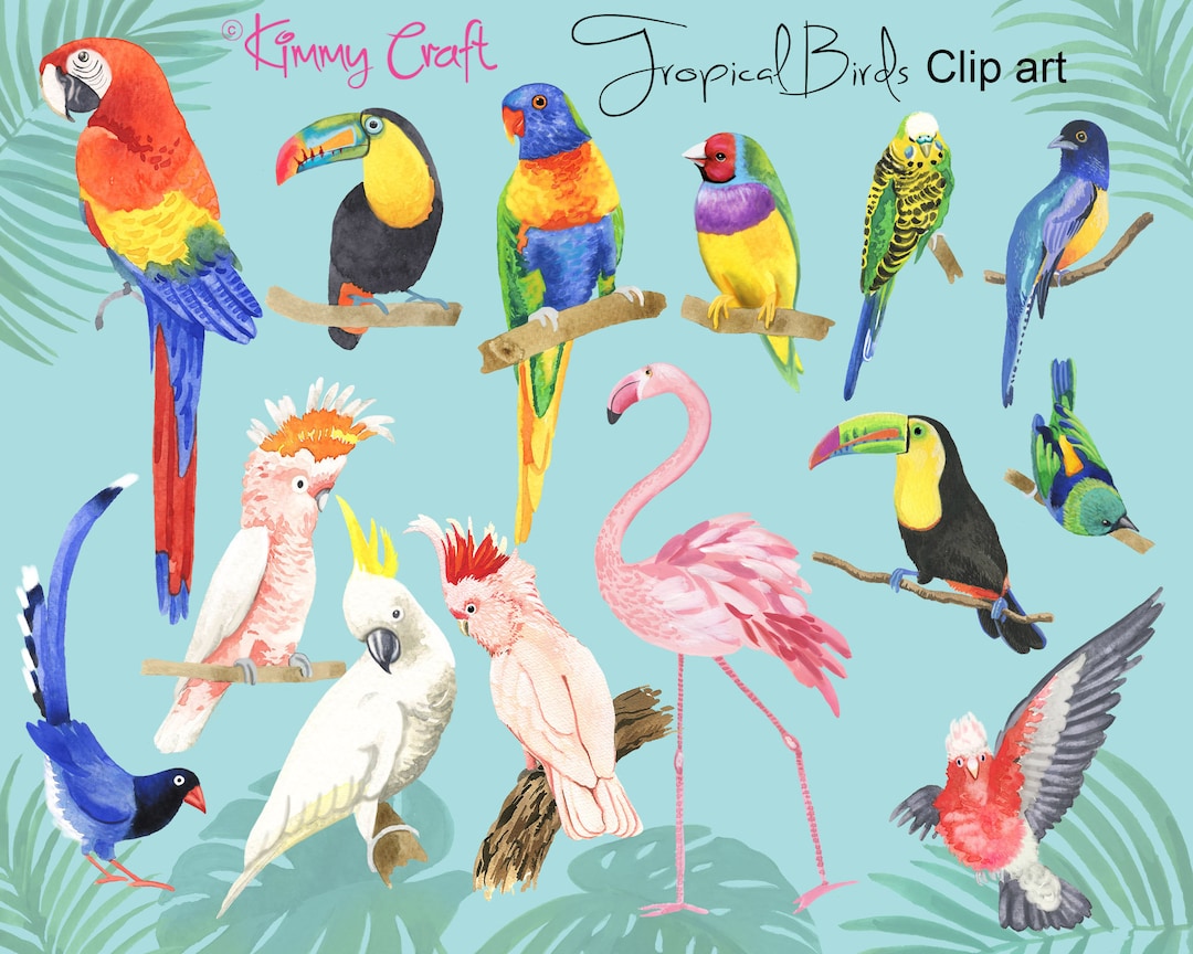 Tropical Birds - Hand Painted Clip Art of Tropical Birds, Leaves and ...