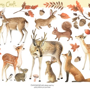 Hand Painted Watercolor Woodland Animals Clip Art Digital - Etsy