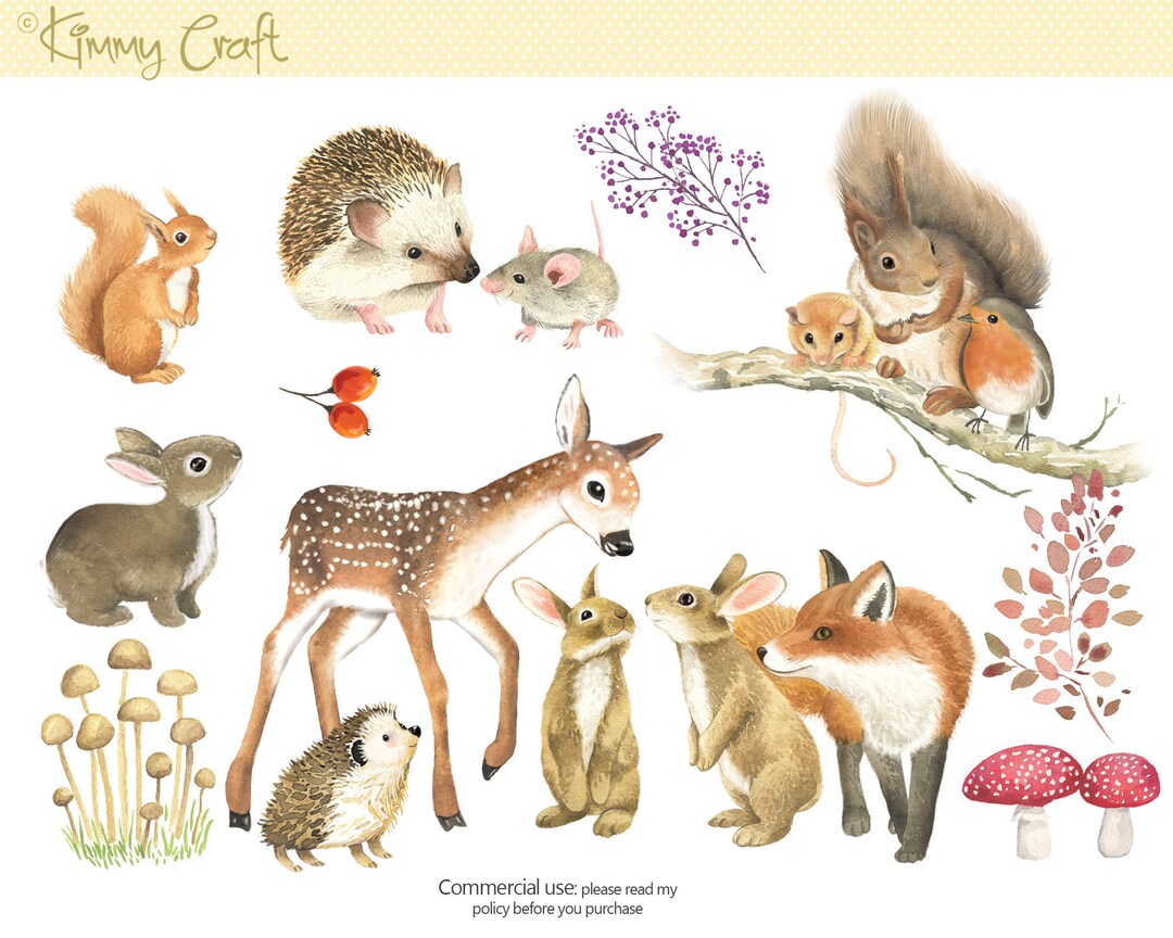 Woodland Animals Hand Painted Watercolour. 10 Elements in Set. All High ...