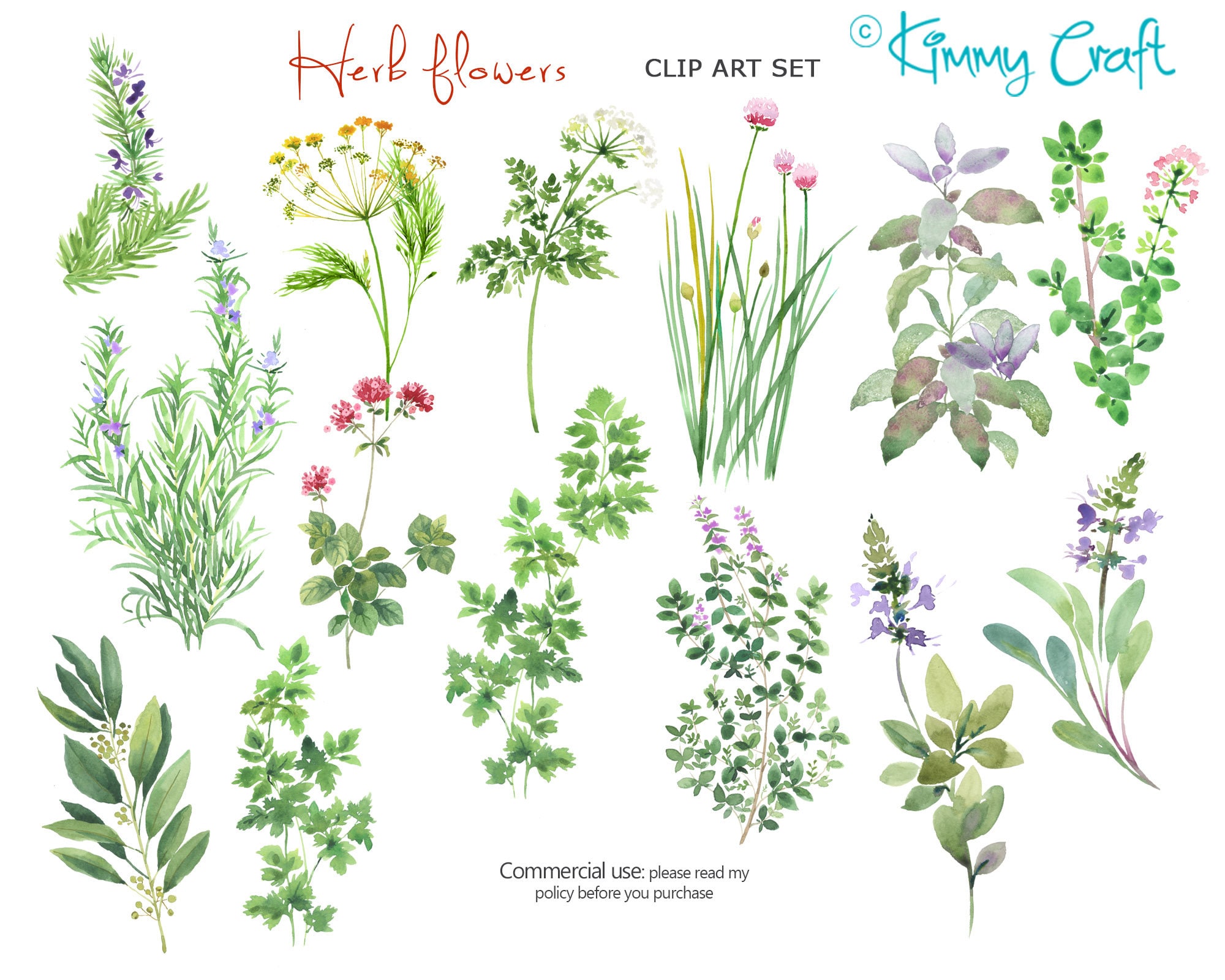 Herbal Plants - Watercolor Hand Painted Clip Art of 14 Garden Herb ...