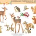 Hand Painted Watercolor Woodland Animals Clip Art Digital Download for ...