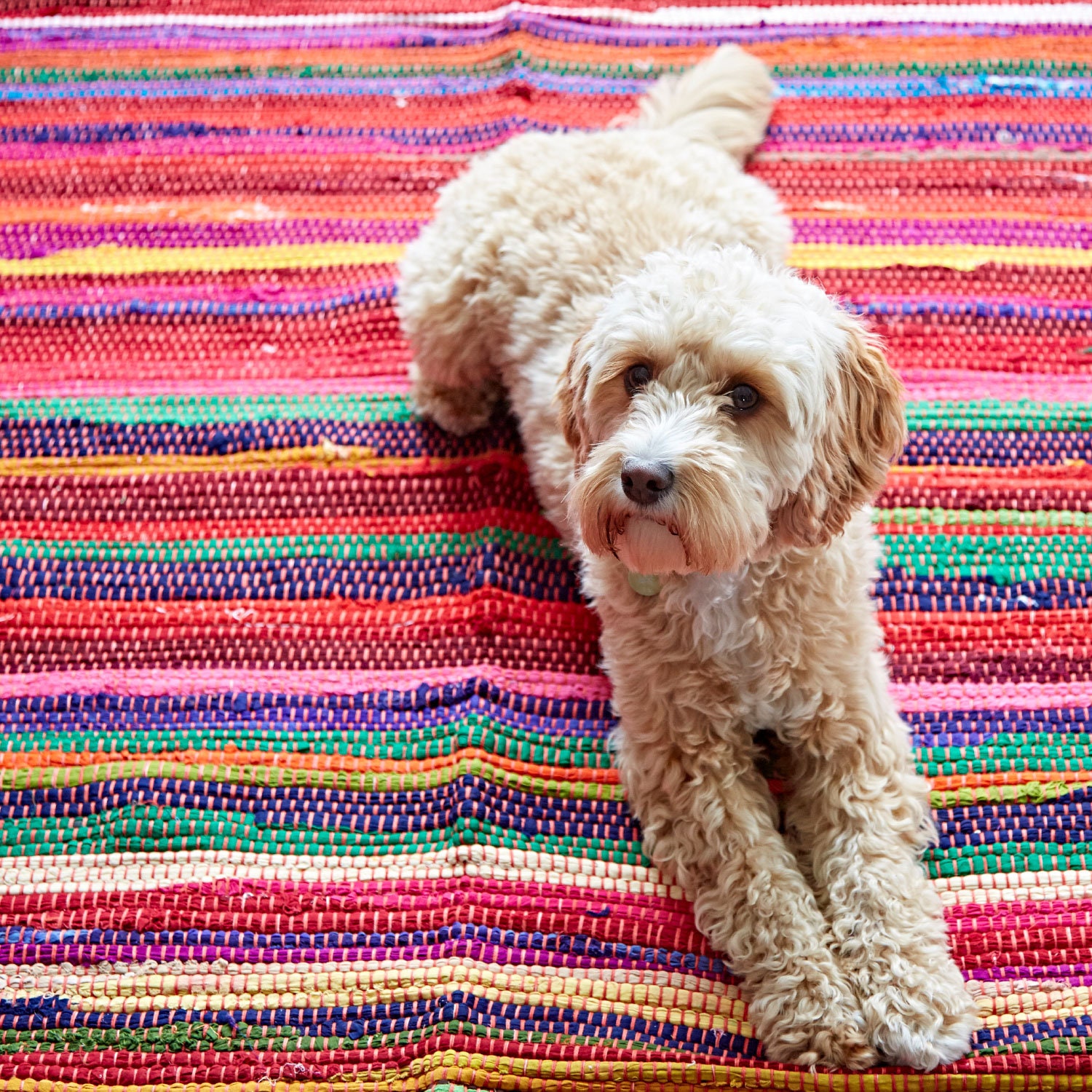 Handmade Recycled Cotton Rag Rug Small Medium Large Runner - Etsy
