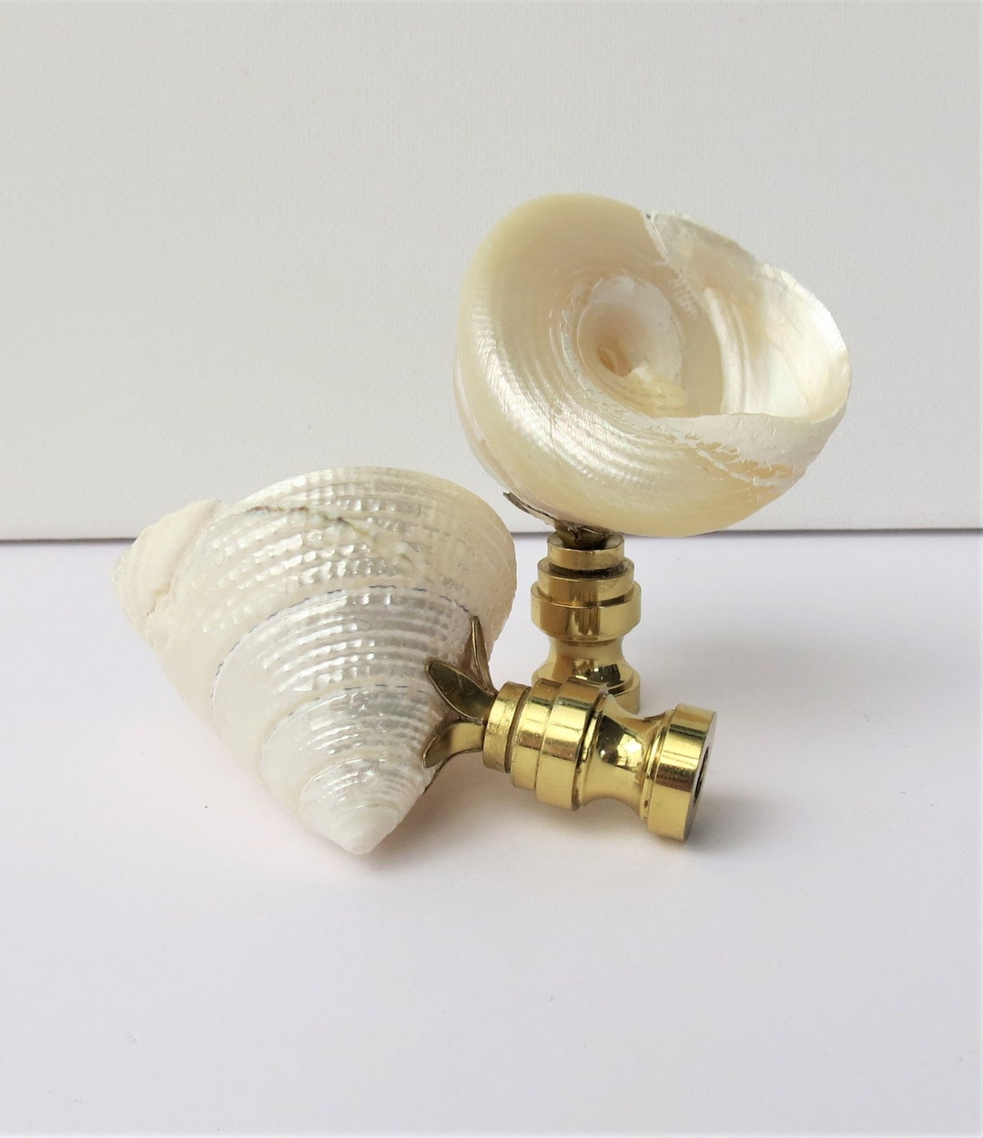 Ivory Pearl Fiji Shell Table Lamp Finials a Pair by C. Damien - Etsy