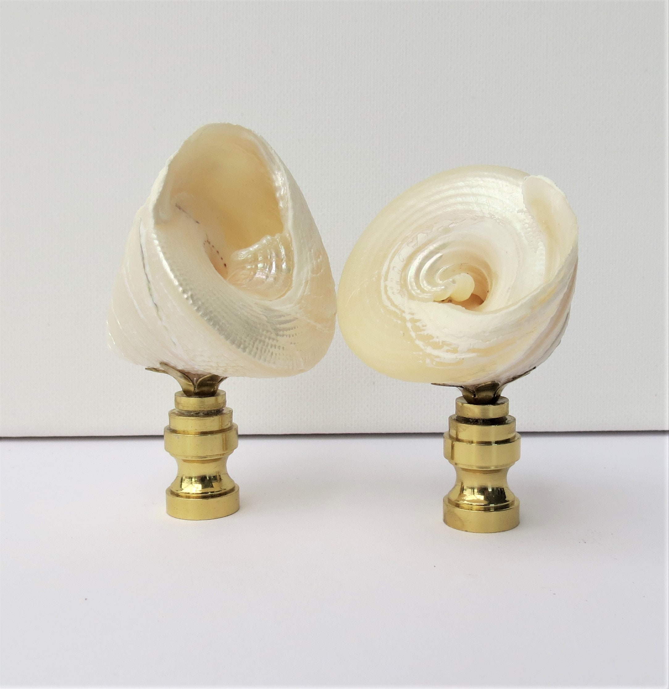 Ivory Pearl Fiji Shell Table Lamp Finials, a Pair. Ivory/gold Organic ...