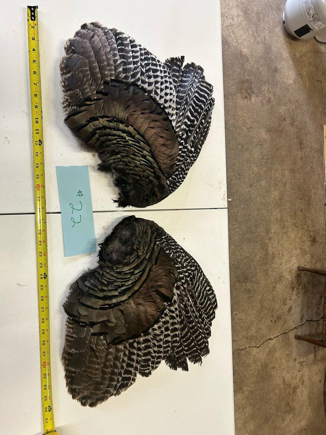 North Idaho Mountain Wild Turkey Wings set - Etsy