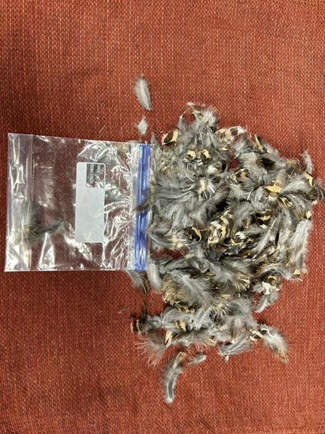Bag of Wild Grouse (quart Bag) Feathers! - Etsy