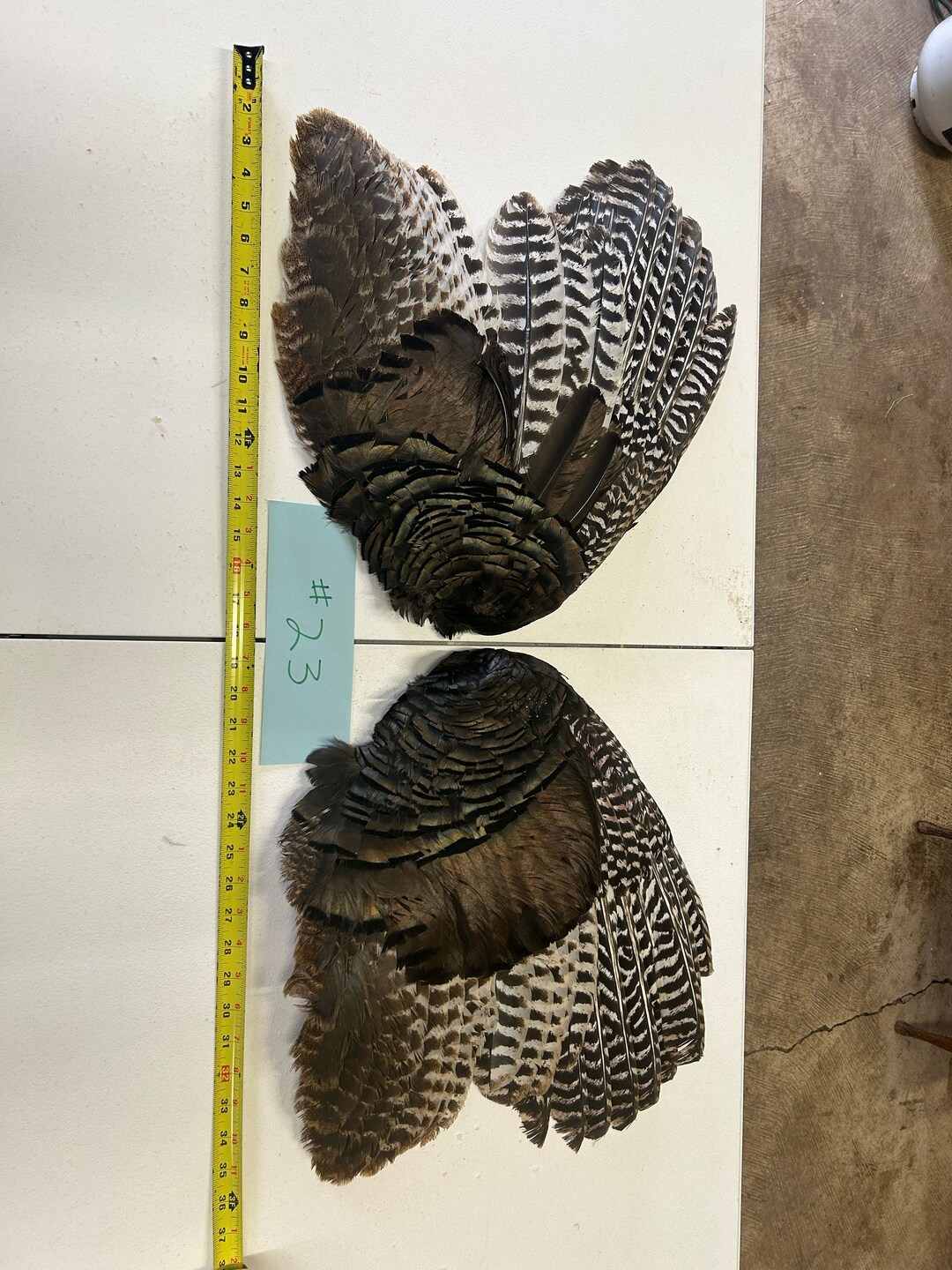 North Idaho Mountain Wild Turkey Wings (set) - Etsy