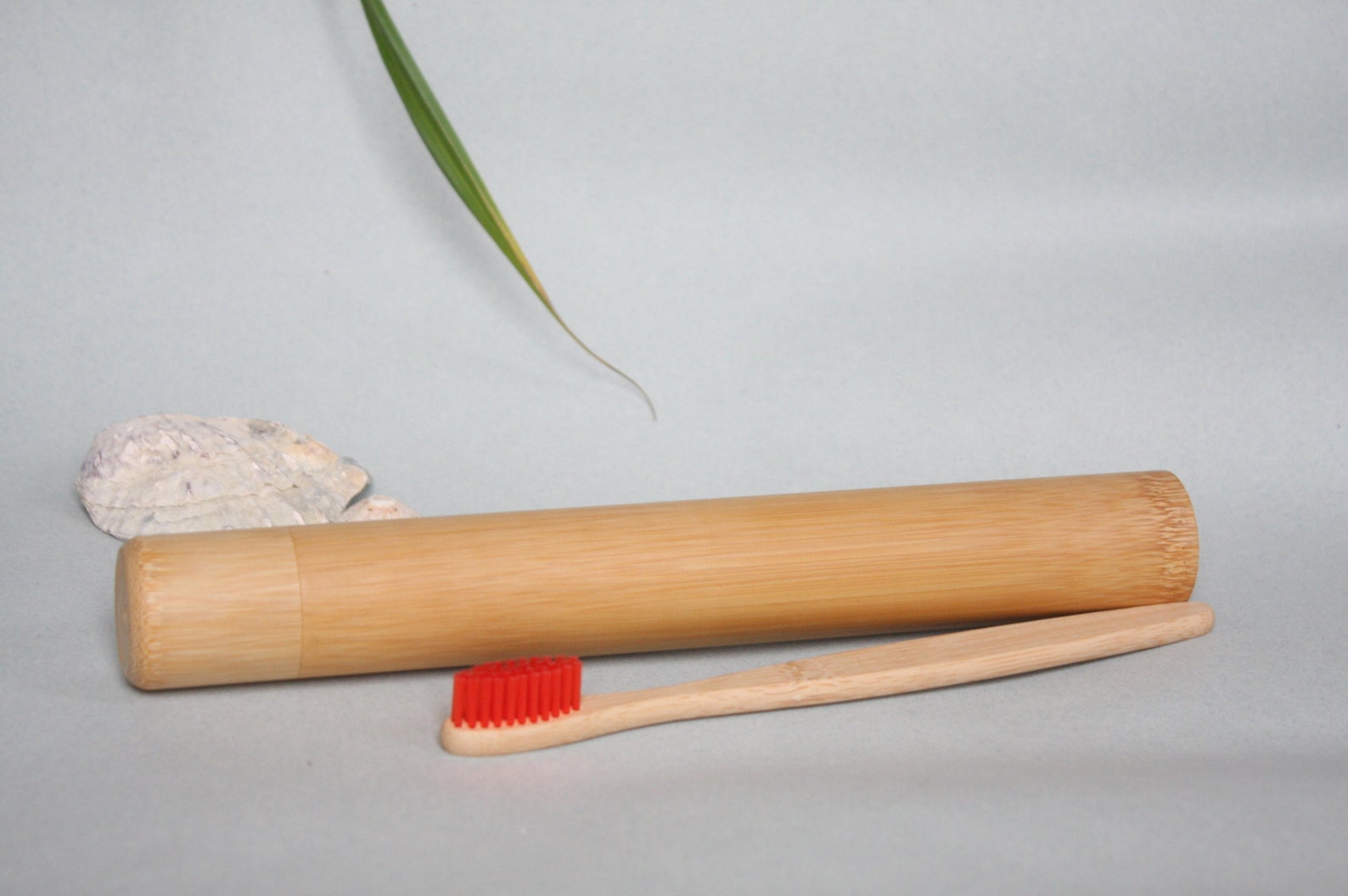 Bamboo Toothbrush and Travel Case Tube Eco Red Bristles - Etsy