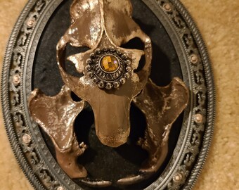 Groundhog Skull - Etsy