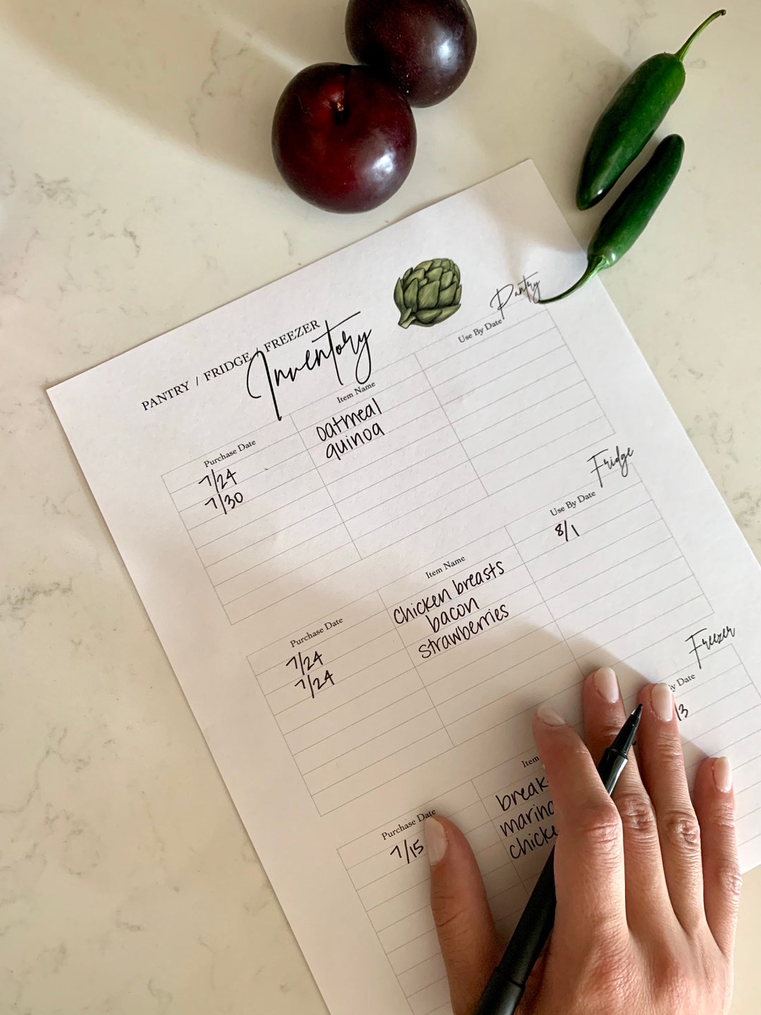 Pantry, Fridge, Freezer Inventory Printable Planner Page - Etsy