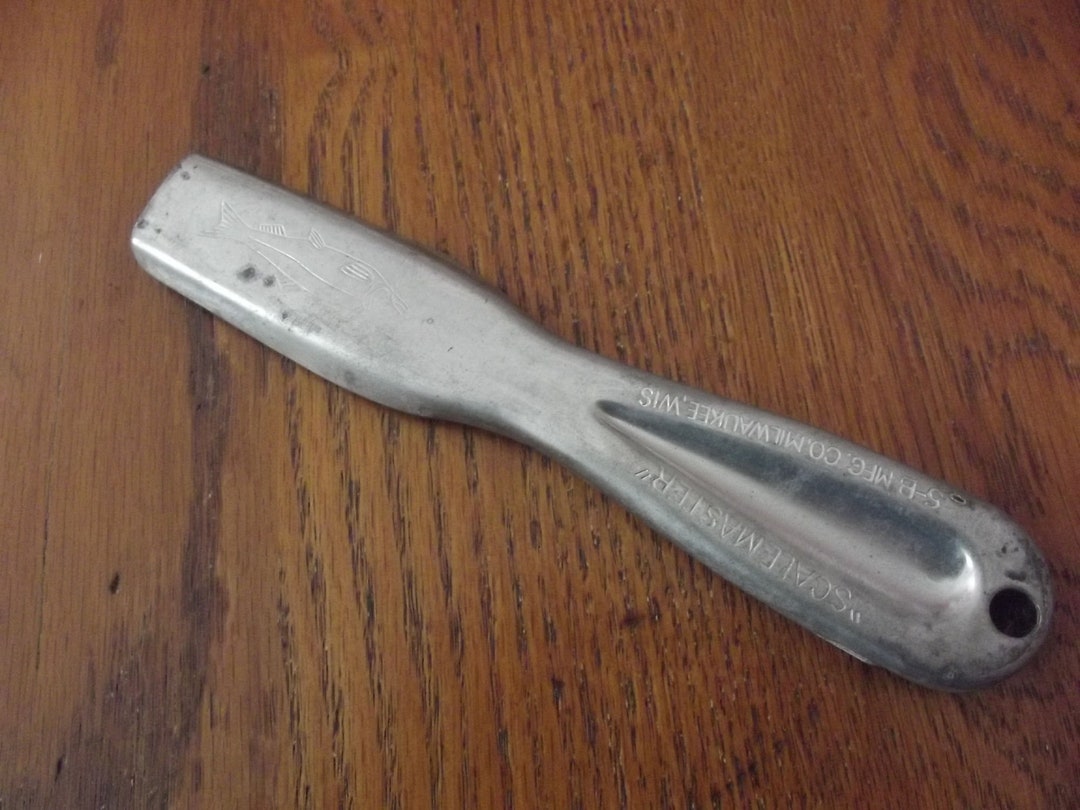 Aluminum Fish Scaler, Metal, Vintage, Camping, Fishing, Vintage Mid ...
