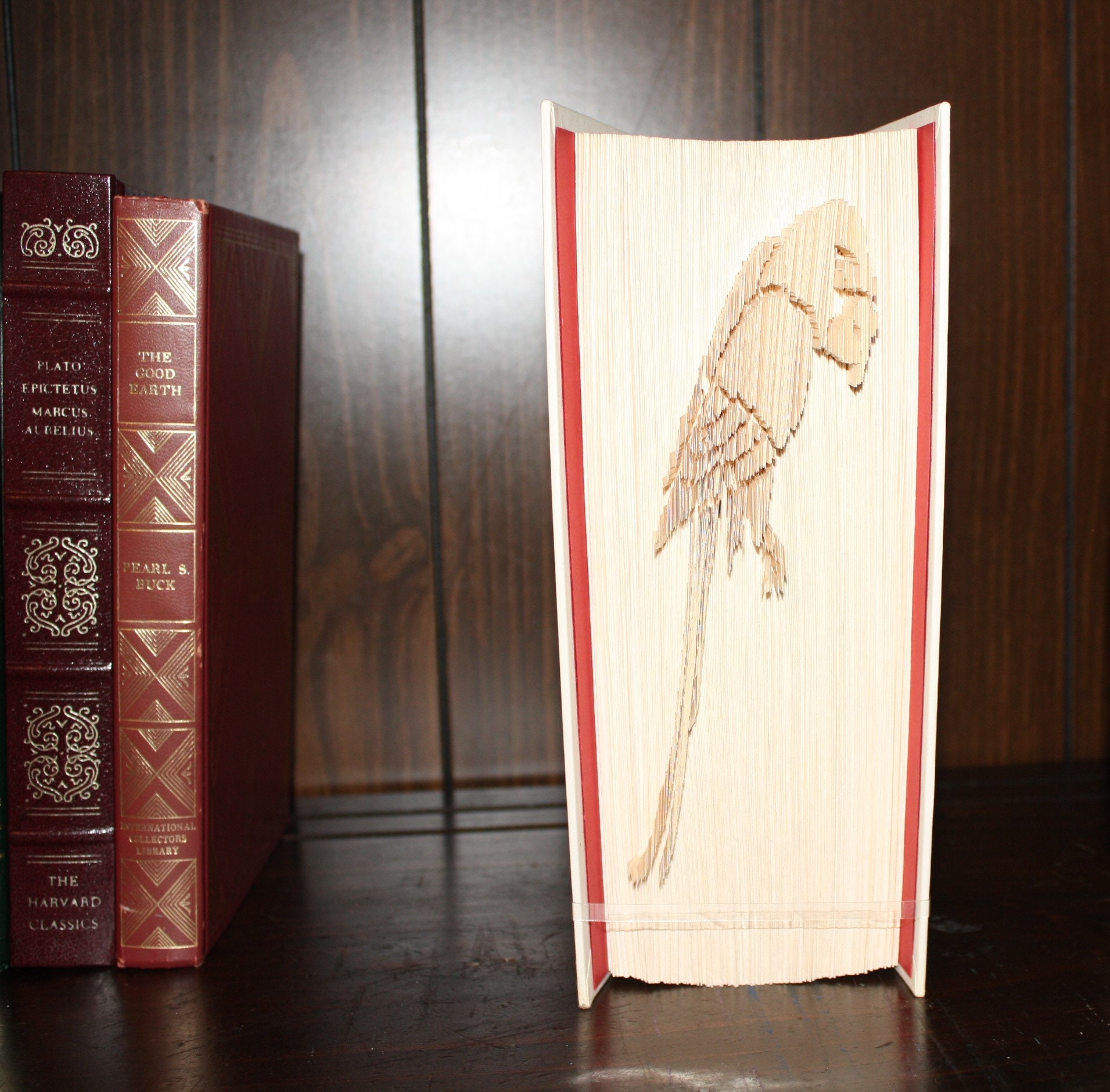 Parrot - Book Folding (digital) Pattern With Instructions - Etsy