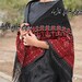 Red Embroidered Shawl Scarf Wrap Palestine Jordan Heritage Traditional ...