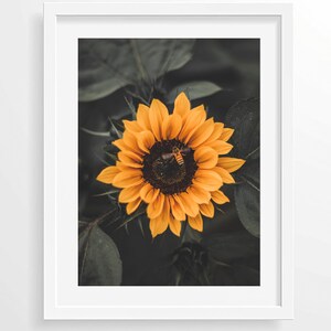 Sunflower and Bee Print Sunflower Art Poster Bee Print - Etsy