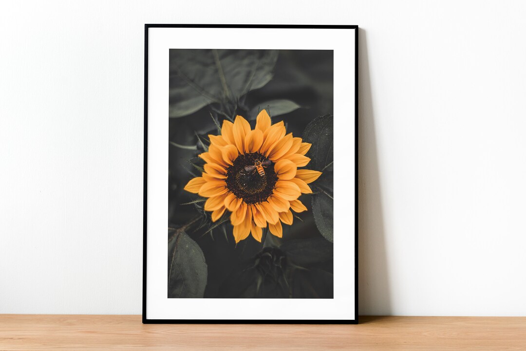 Sunflower and Bee Print, Sunflower Art Poster, Bee Print, Sunflower ...