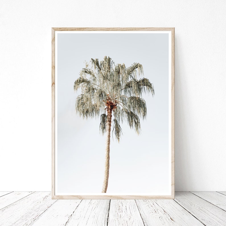 Palm Tree Print Digital Download Photography Digital Photo | Etsy