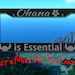 Lilo and Stitch Inspired License Plate Frame Ohana is - Etsy