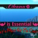 Lilo and Stitch Inspired License Plate Frame Ohana is - Etsy
