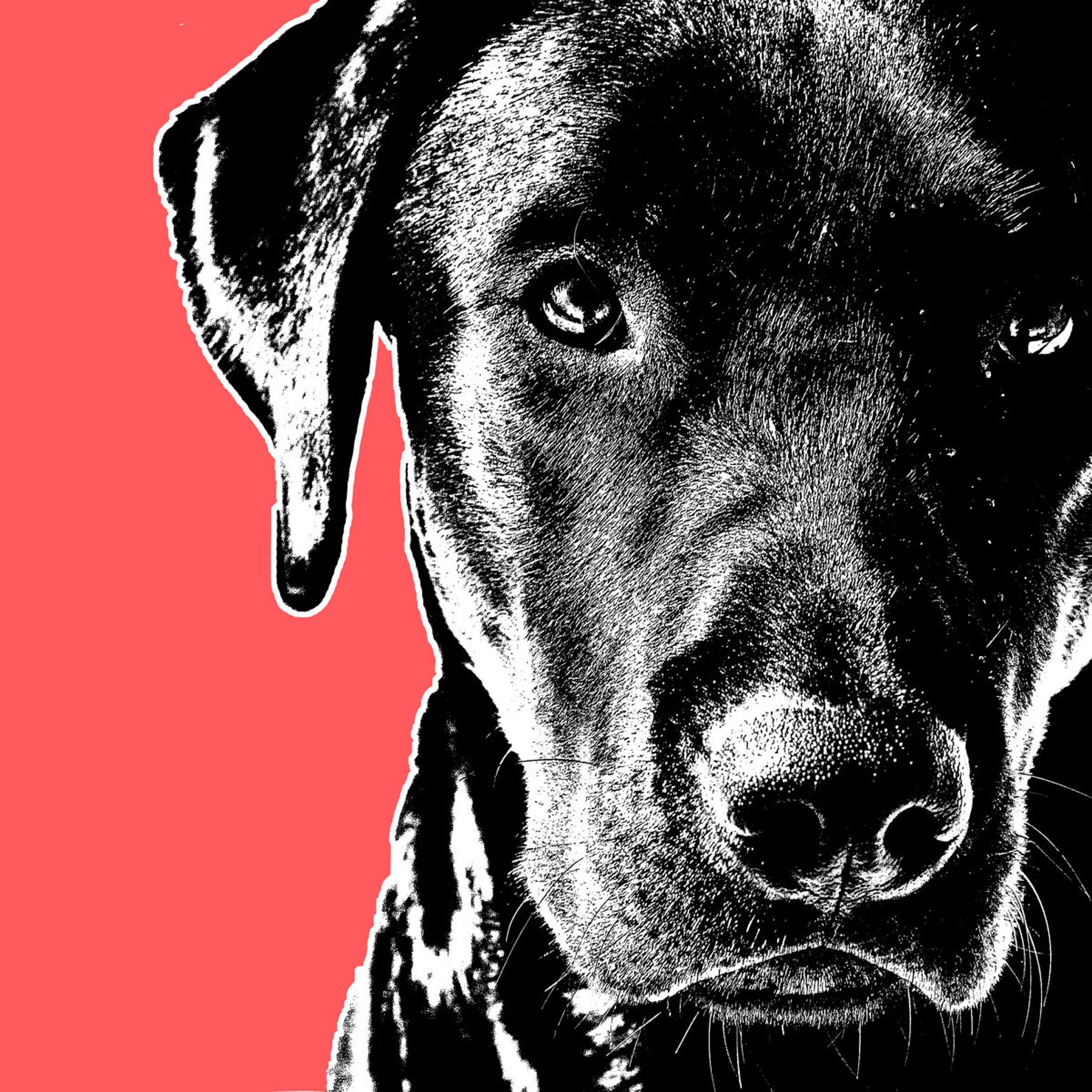 Bold Dog Art Prints Pets Pop Art Portrait Dog Prints Animal | Etsy