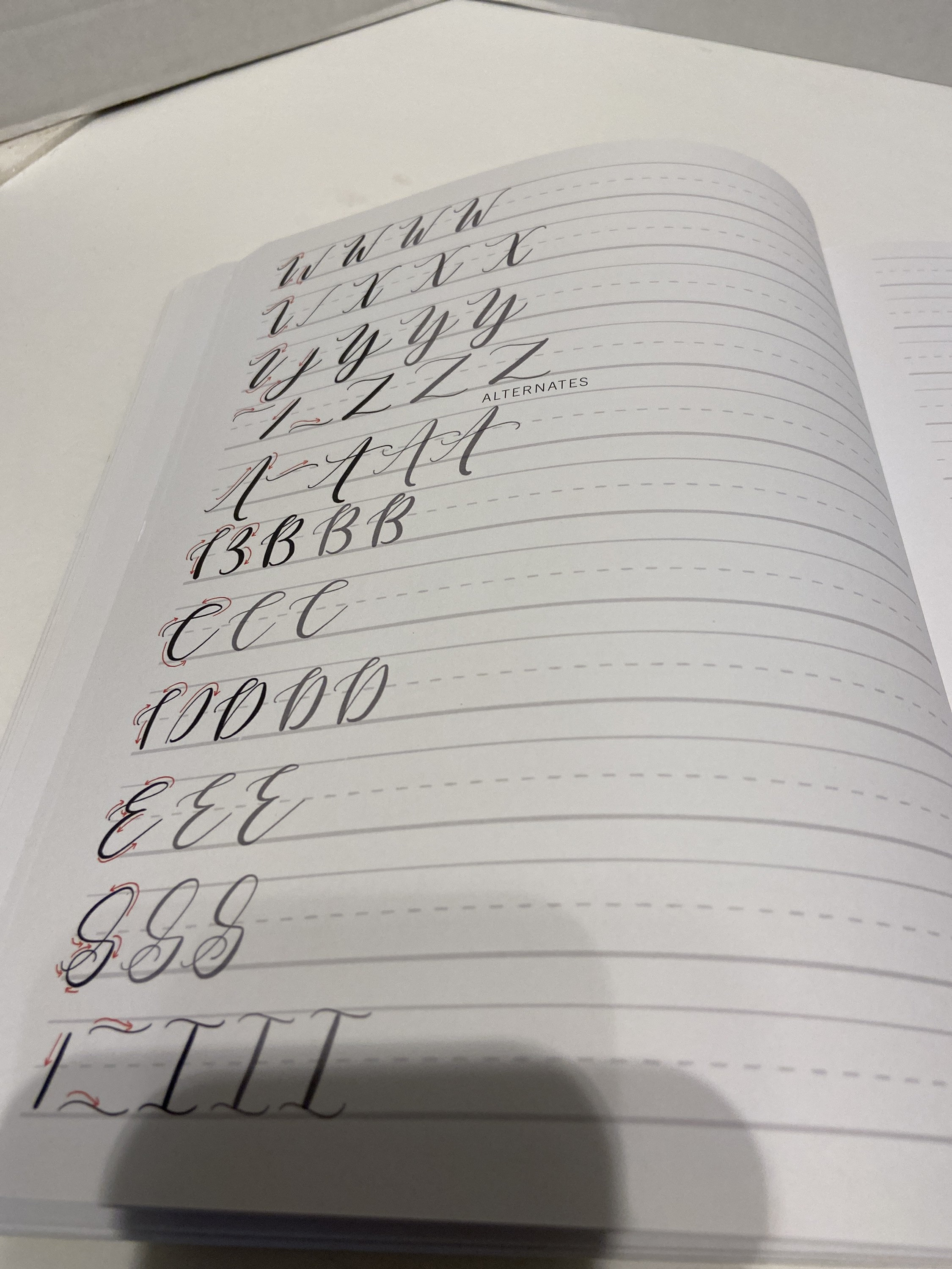 Calligraphy made easy | Etsy