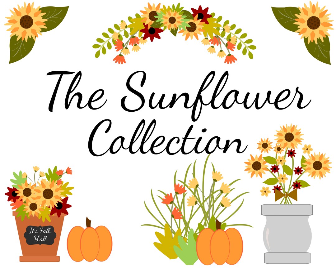 Sunflower Vector Graphics, Fall Flowers, Instant Download Png, Fall ...