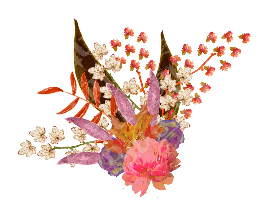 Fall Watercolor Floral Clip Art, Thanksgiving Clip Art, Autumn Floral ...
