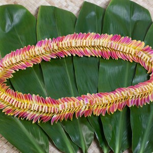 Hawaiian Lei - Butterfly Lei - Orchid Lei, Deluxe Lei, Mother Lei ...
