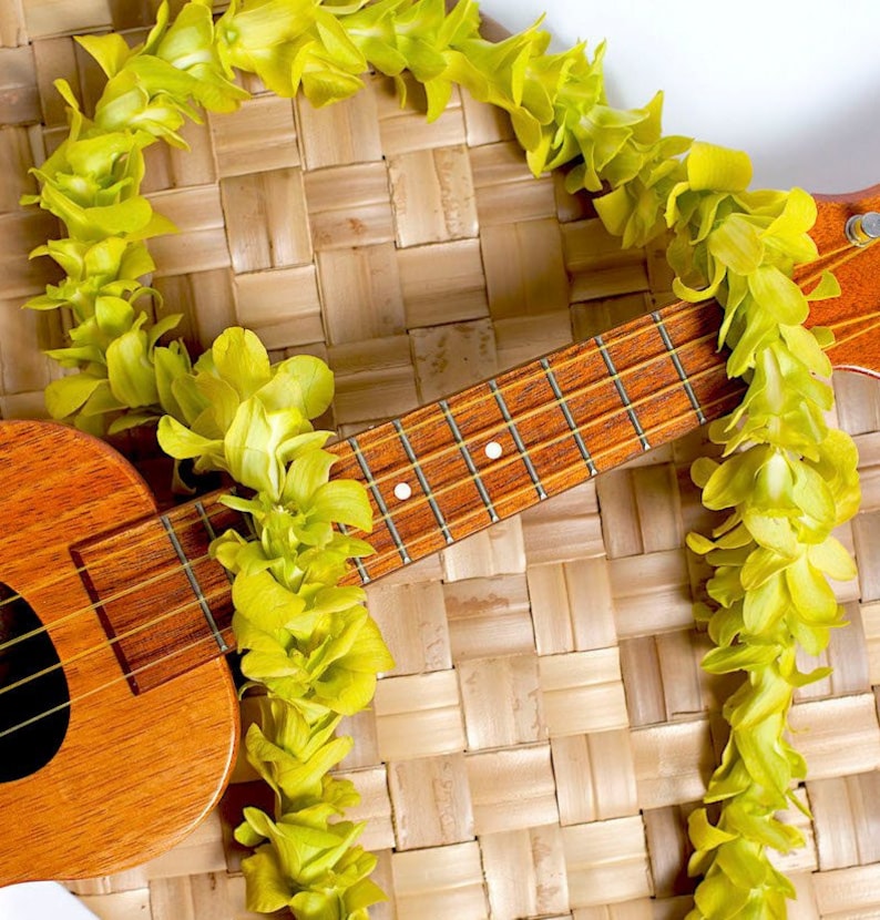 Hawaiian Lei Green Orchid Single Lei Fresh Lei From Hawaii - Etsy