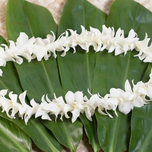 Hawaiian Lei - Fresh White Orchid Lei. Fresh Lei From Hawaii. Ships ...
