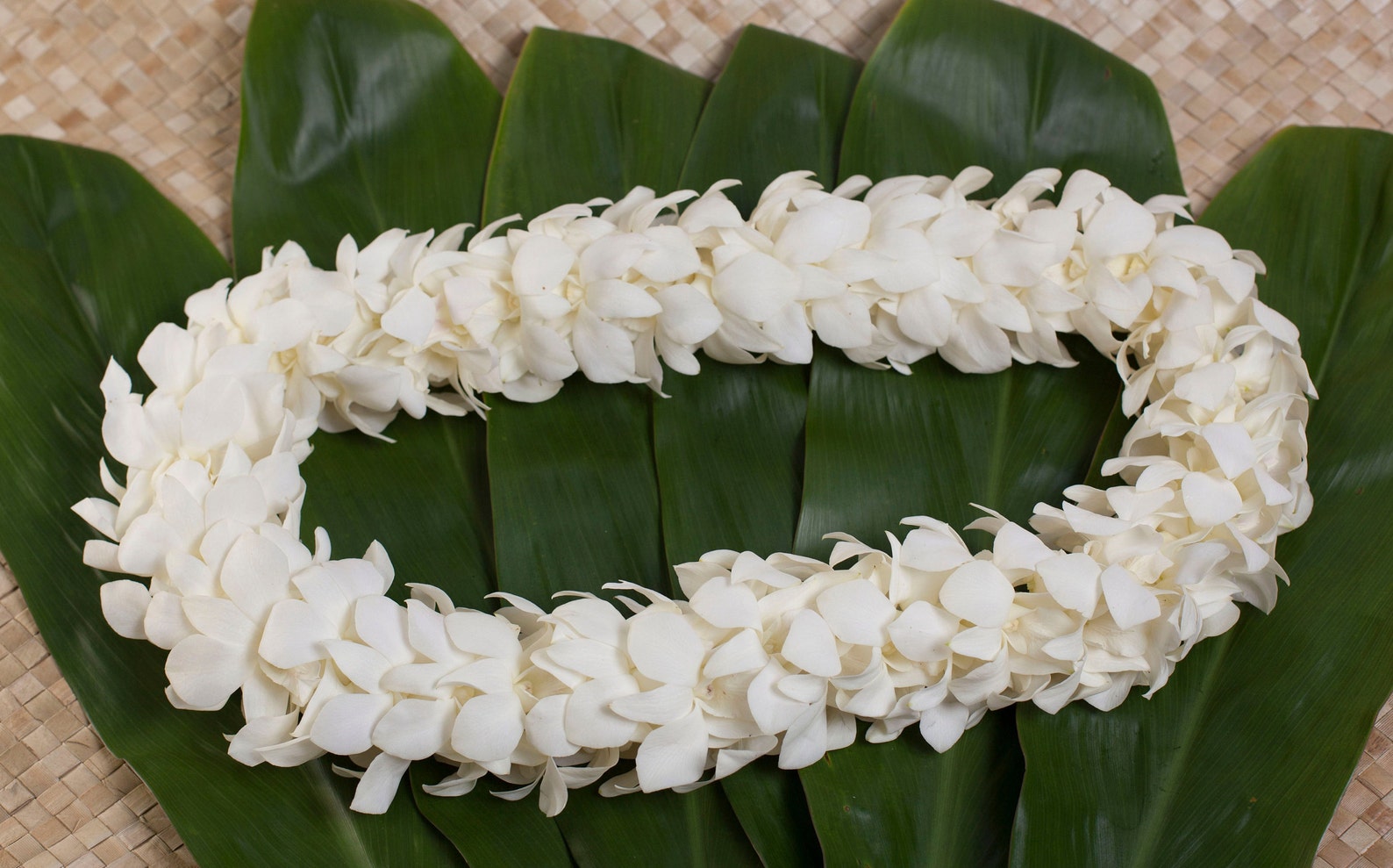 Triple Orchid Lei Fresh Hawaiian Lei for Graduations | Etsy