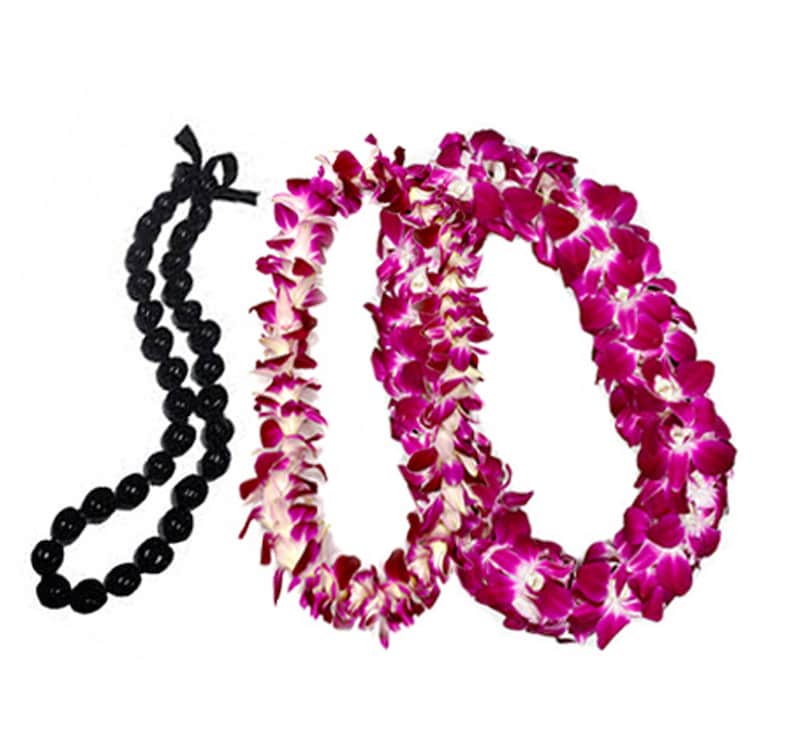 Hawaiian Leis - Graduation Pack - Kukui Nut Lei , Purple Single Lei ...