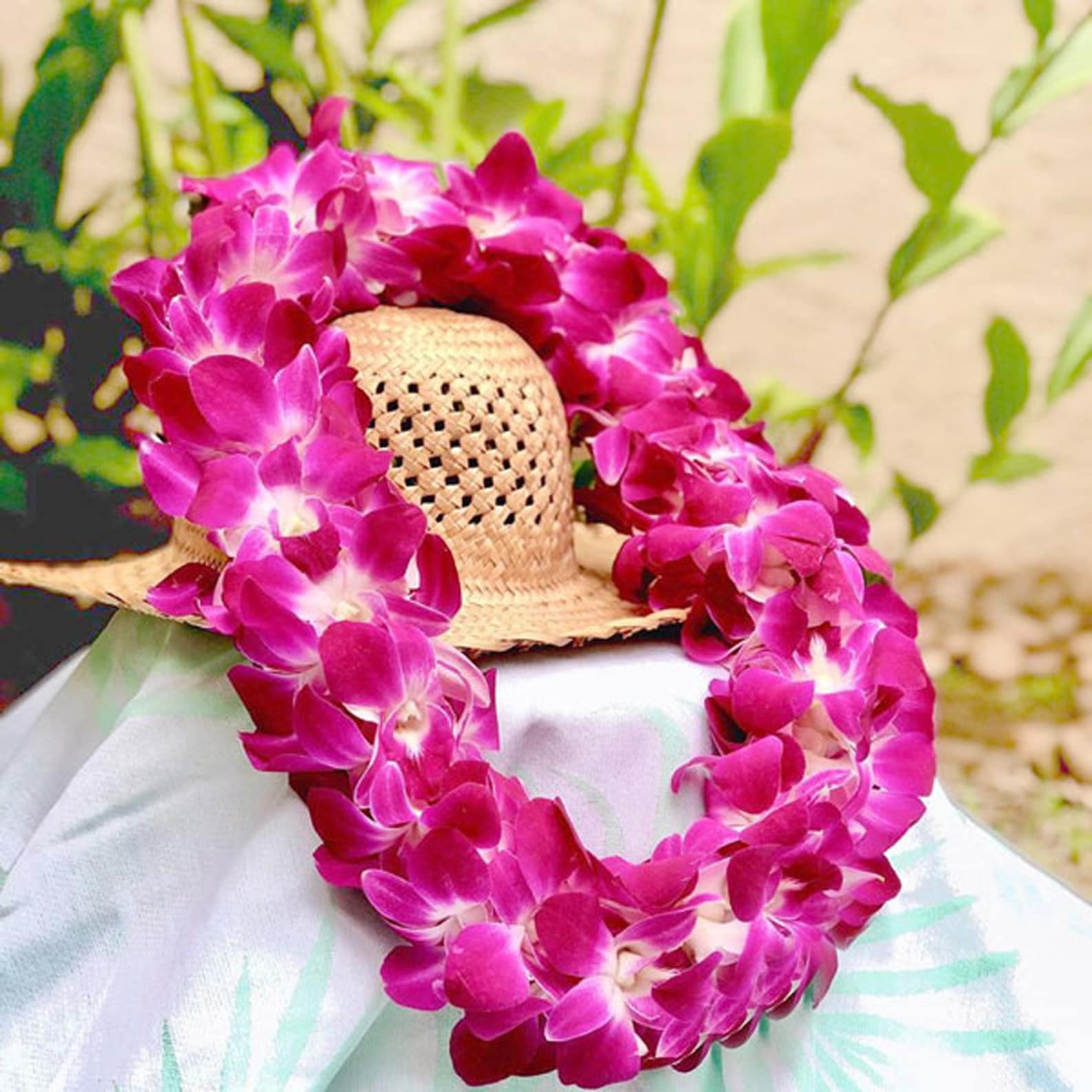 Graduation Lei Pack Maile Ti leaf lei with Orchid lei wrap & | Etsy