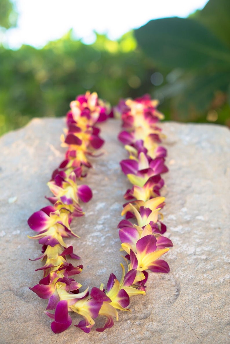 Hawaiian Lei - Dyed Yellow Orchid Single Lei - Orchid Lei - Graduation ...
