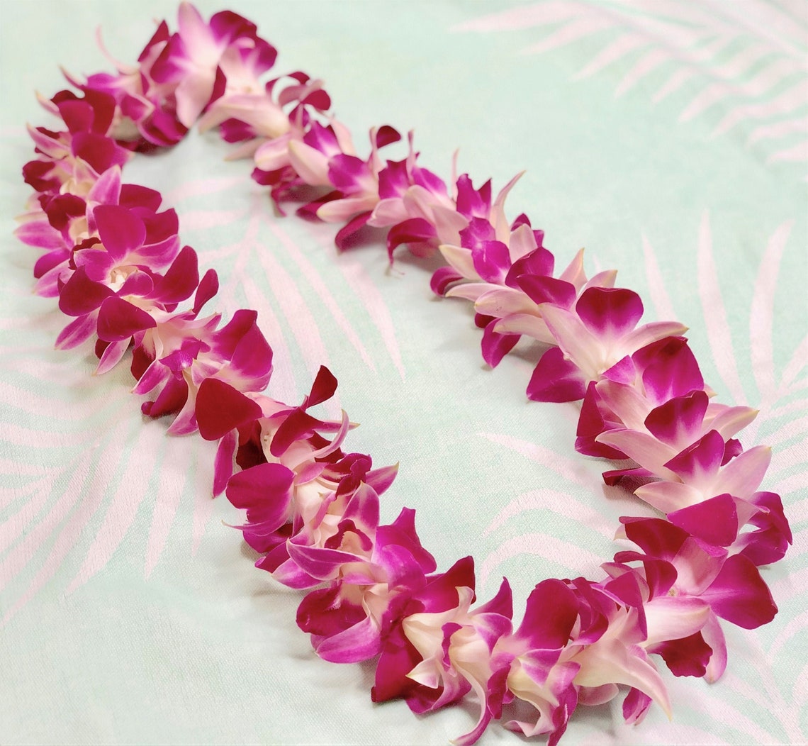 Purple Orchid Single Leis 3 Pack Fresh Leis Hawaiian Leis Etsy