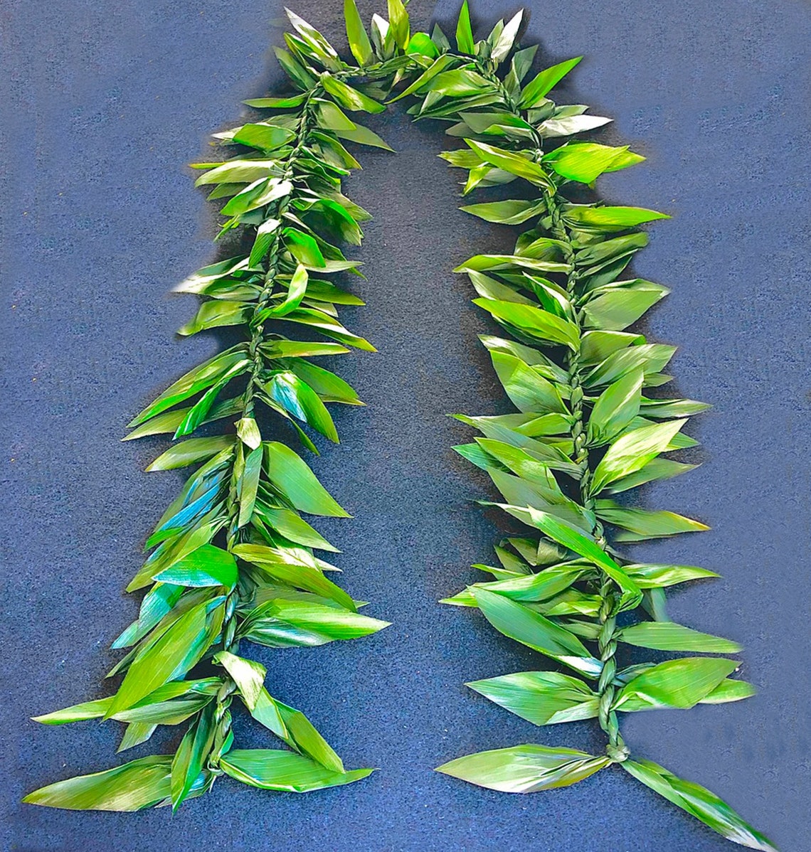 Maile Ti Leaf Lei - Hawaiian Lei, Graduation Lei - Etsy