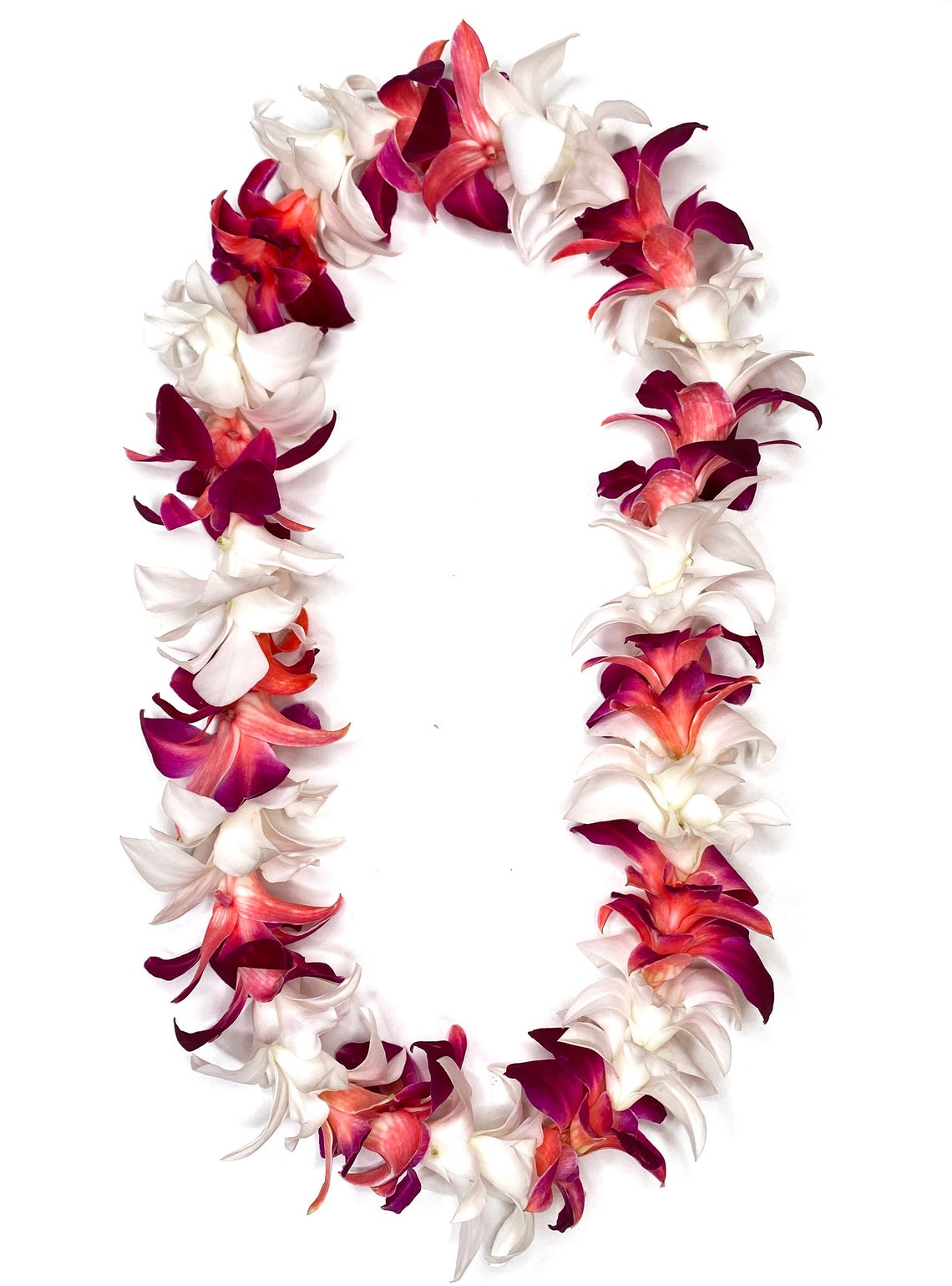 Graduation Hawaiian Lei White & Dyed Orchid Single Lei | Etsy
