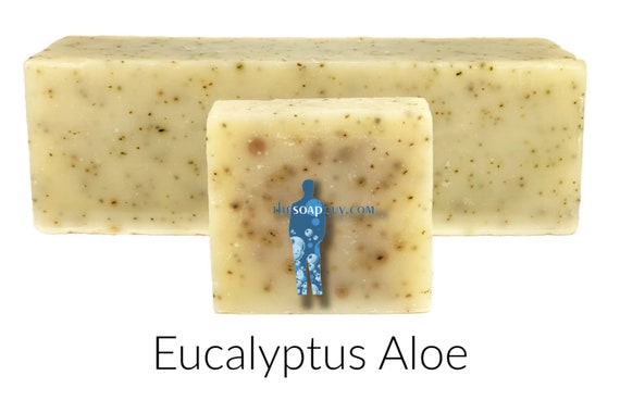 Eucalyptus Aloe Soap Handmade Soap Natural Soap Vegan | Etsy