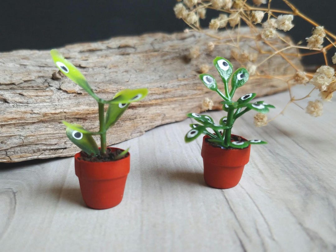 Miniature Carnivorous Plants | Decorative Clay Pots With Hand-painted ...