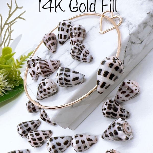 Hawaiian Cone Shell - Etsy