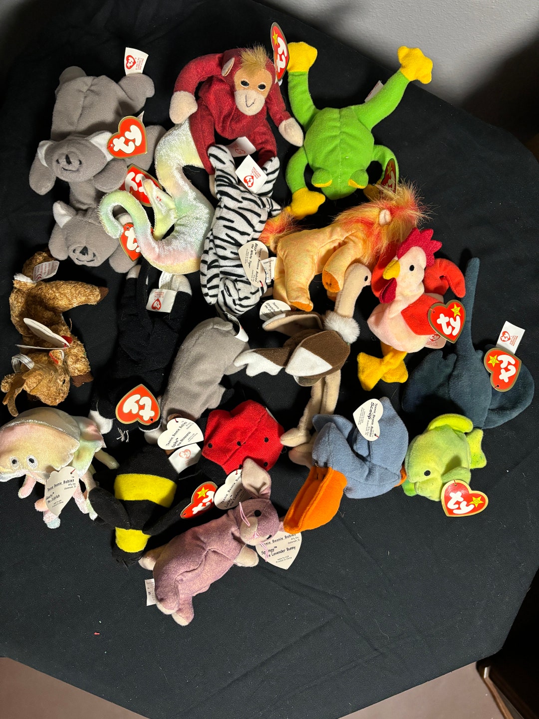 Ty Teenie Beanie Babies Lot of 18 W/ Ty Jingle Beanie Collection Roxie ...