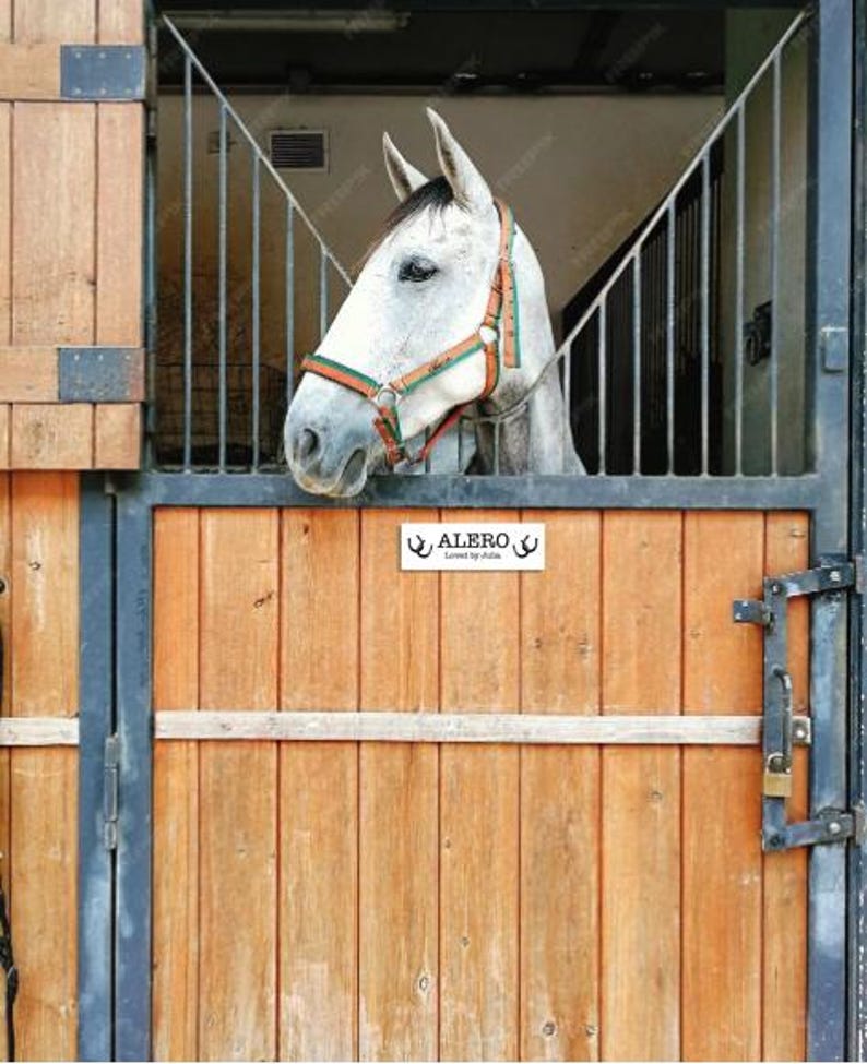 Customized Horse Stall Name Plate, Laser Engraved Flexible Acrylic, No ...