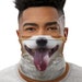 Corgi Dog Face Mask, Neck Gaiter for Men Women Adults, Pembroke Welsh ...