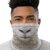 Beaver Face Mask, Neck Gaiter, Washable and Reusable Face Covering ...